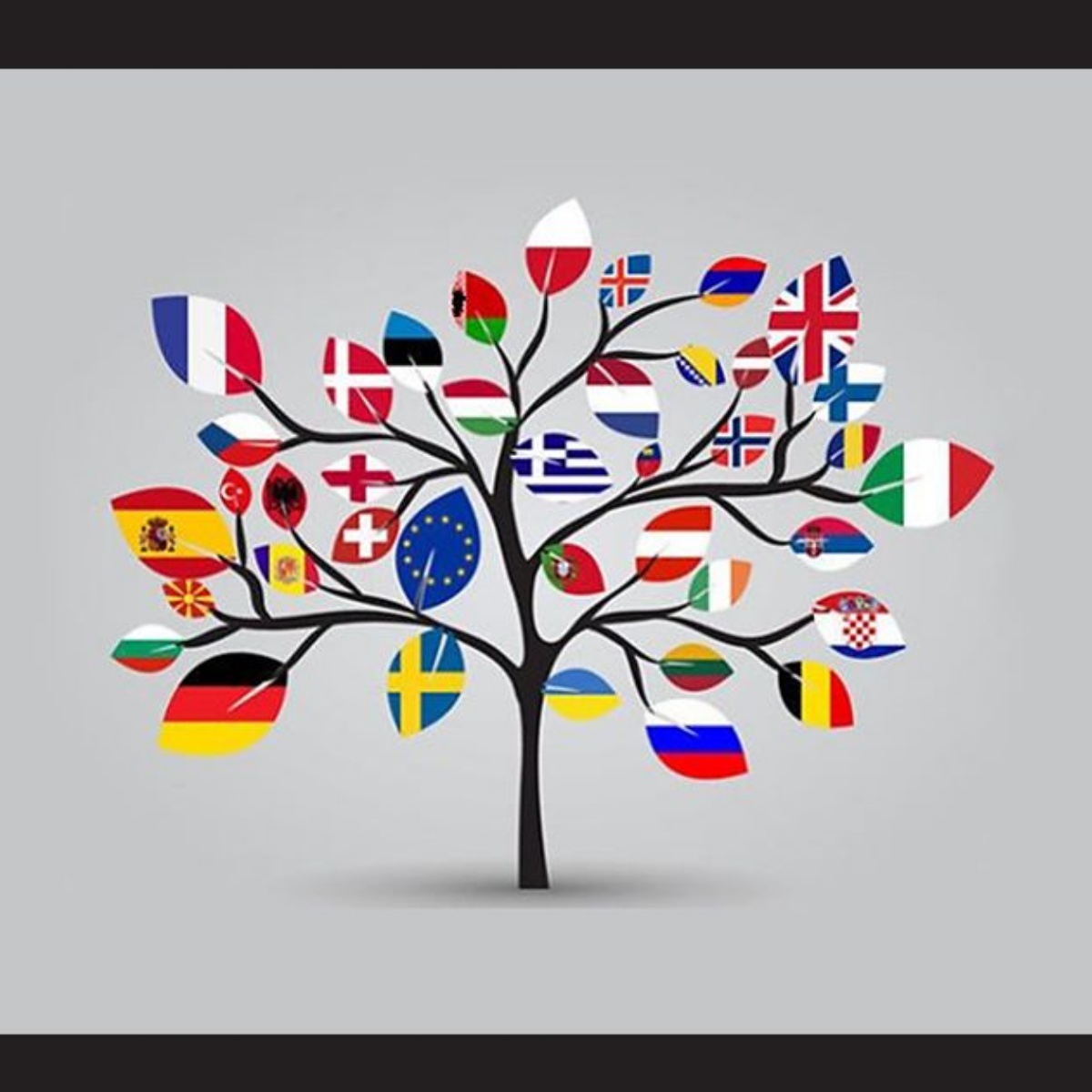 Plymouth High School for Girls - MFL Immersion Project