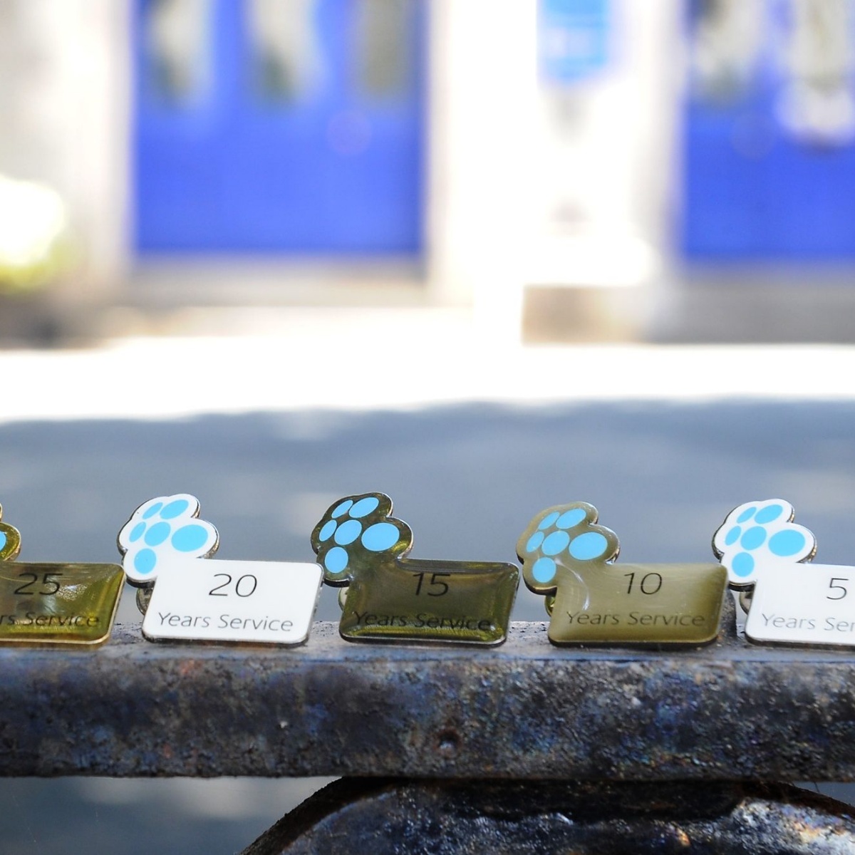 Plymouth High School for Girls - PHSG Long Service Awards