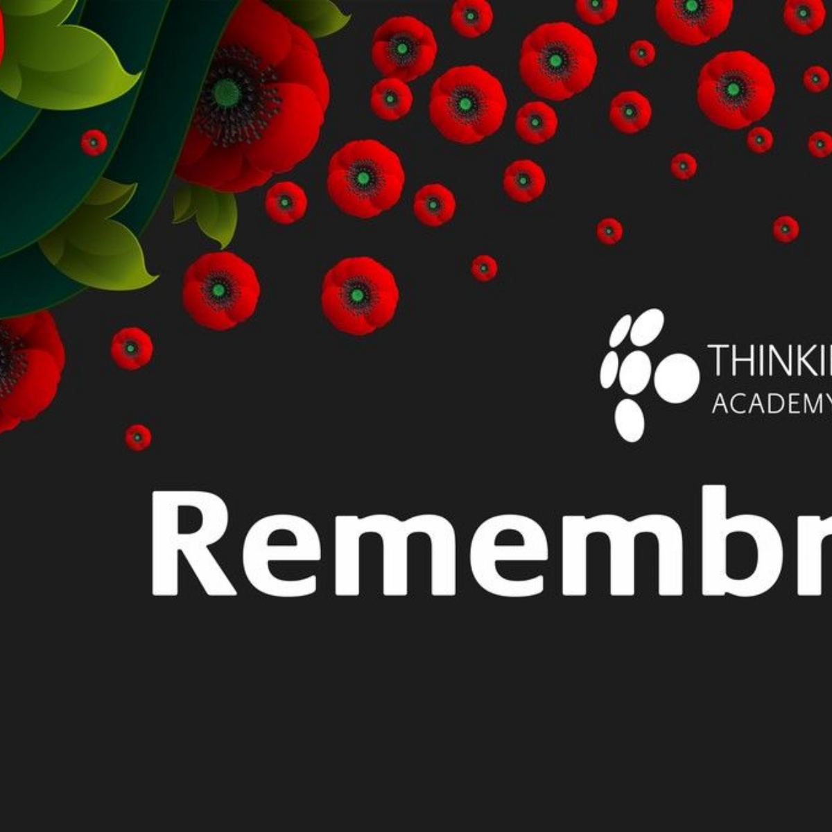 Plymouth High School for Girls - PHSG Remembrance