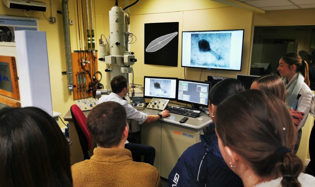 Plymouth High School for Girls - Electron Microscopy at the University ...